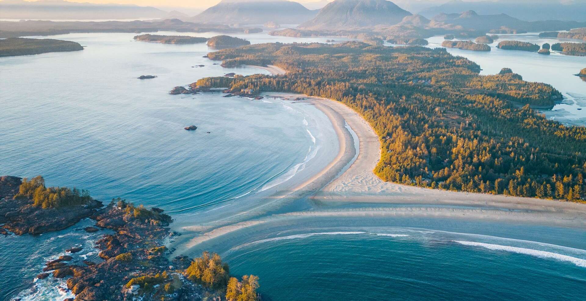 Hawaii Tsunami - The Coffee Shop - Slowtwitch Forum